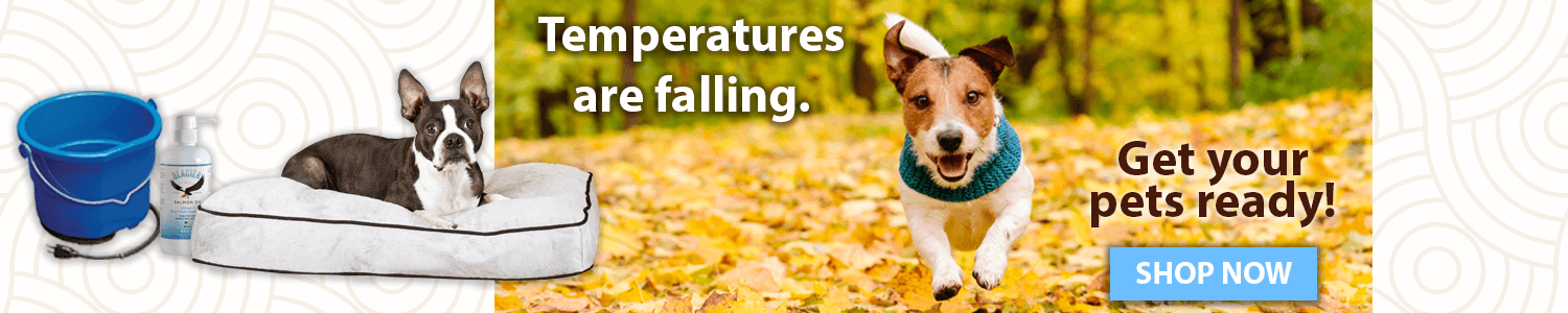 Pet Supplies | Veterinarian Supplies | Pet Meds | Lambert Vet Supply