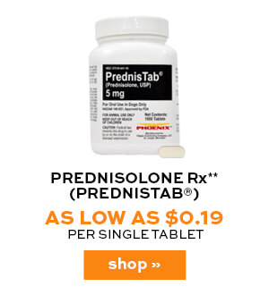 Lambert Vet Supply: -🌬Stay Warm & Cozy! We'll Get Your Pet Meds! | Milled